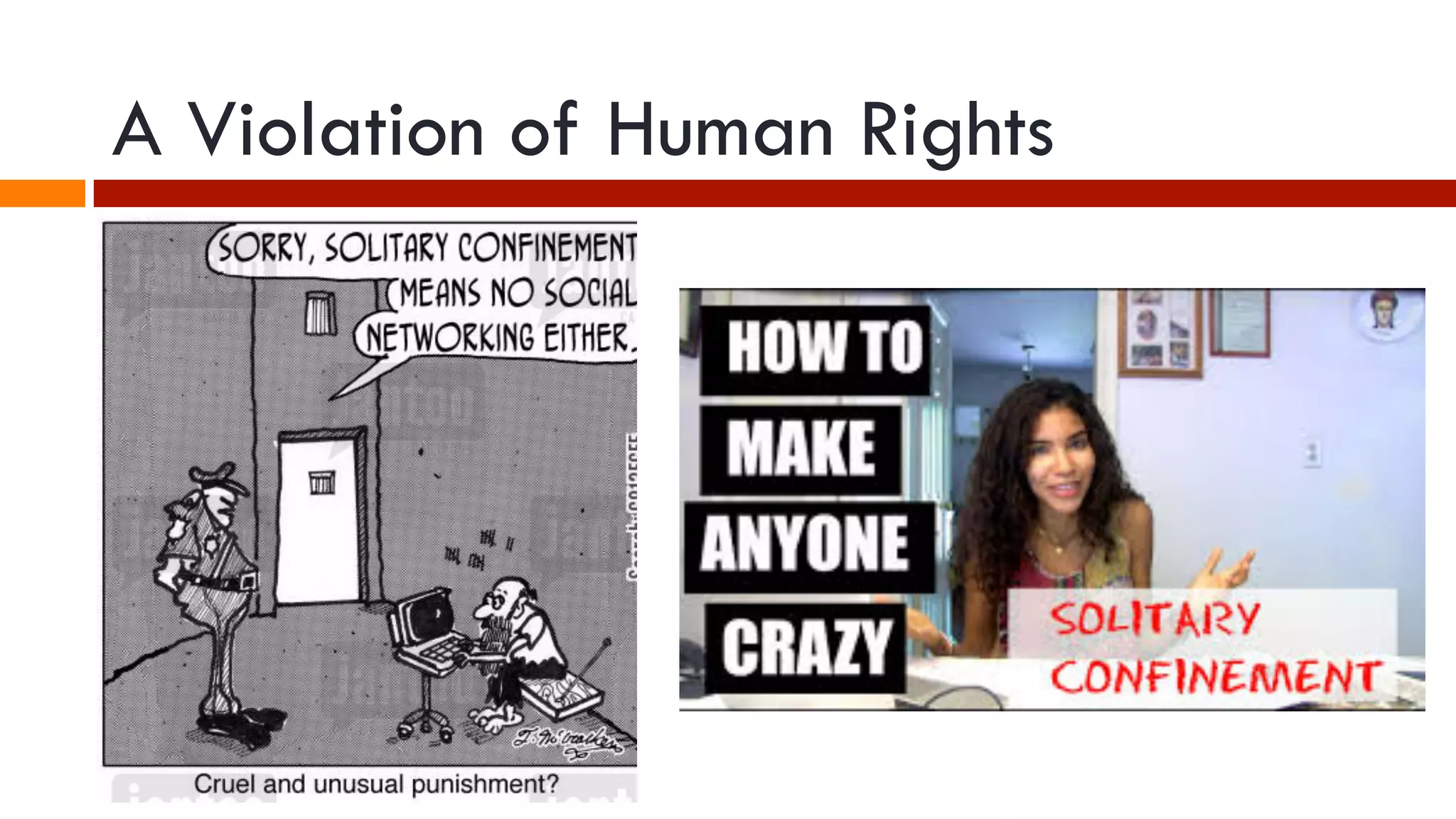 Solitary Confinement, A violation of Human Rights ppt | PDF