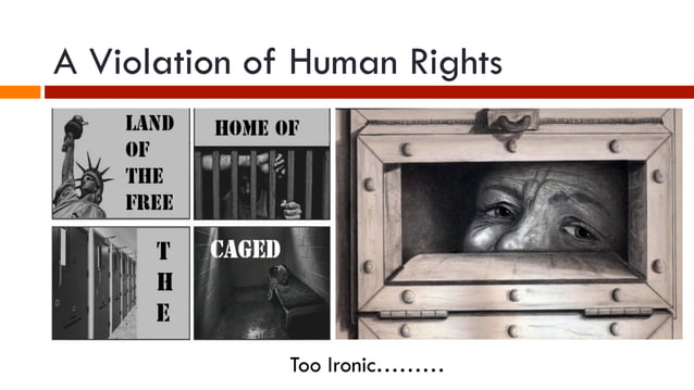 Solitary Confinement, A violation of Human Rights ppt | PDF | Law
