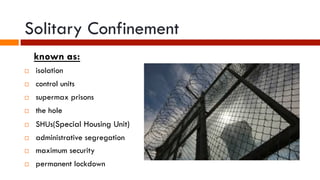 Solitary Confinement, A violation of Human Rights ppt | PDF