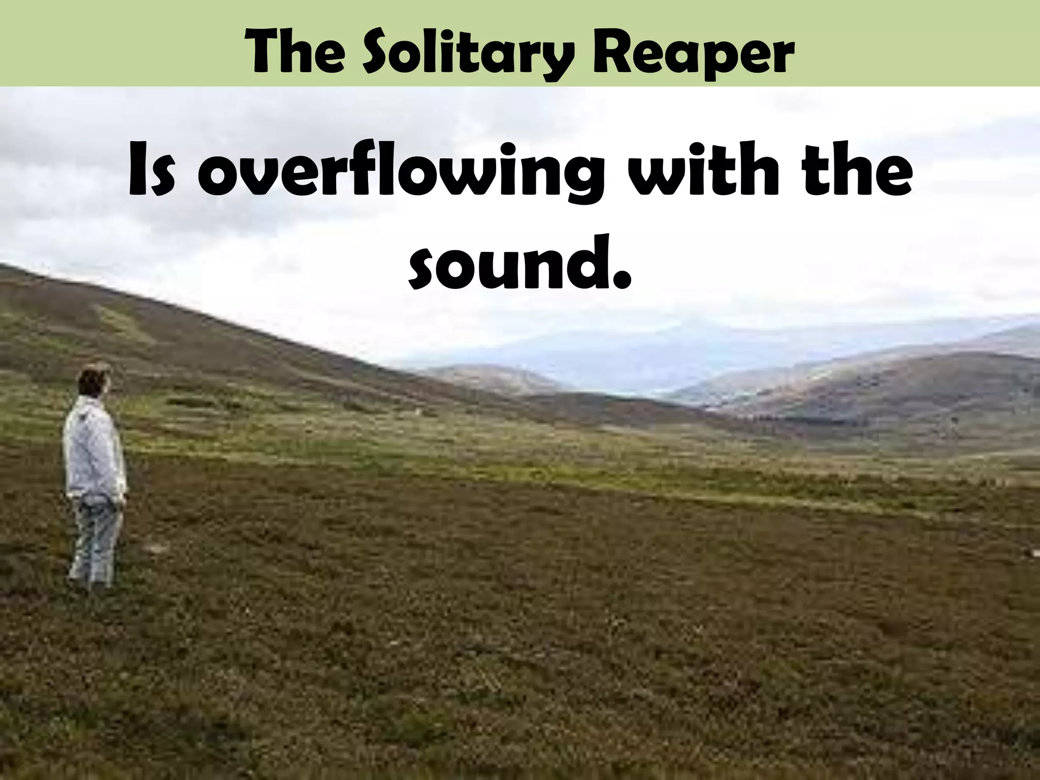 The Solitary Reaper | PPTX