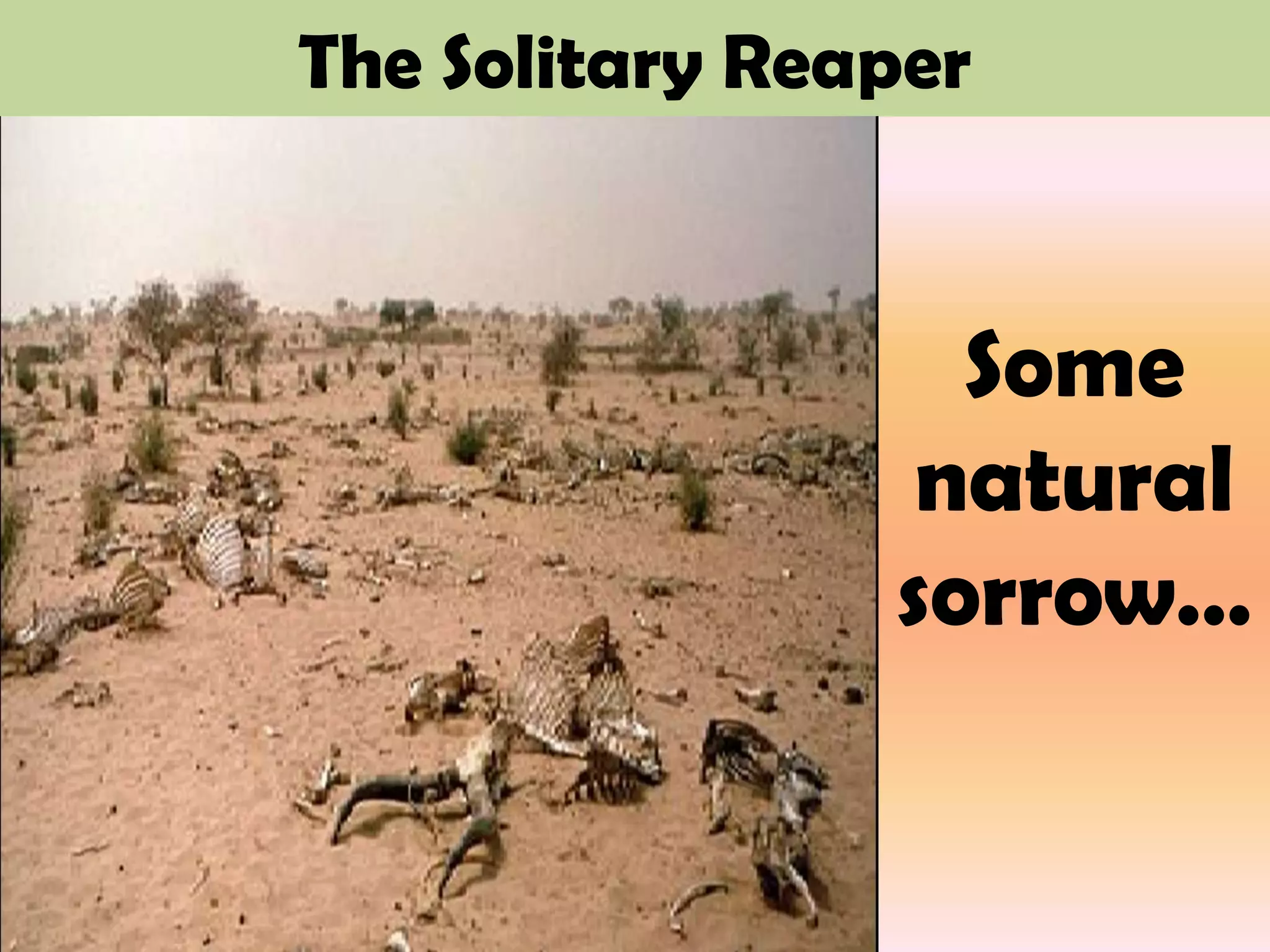 The Solitary Reaper | PPTX