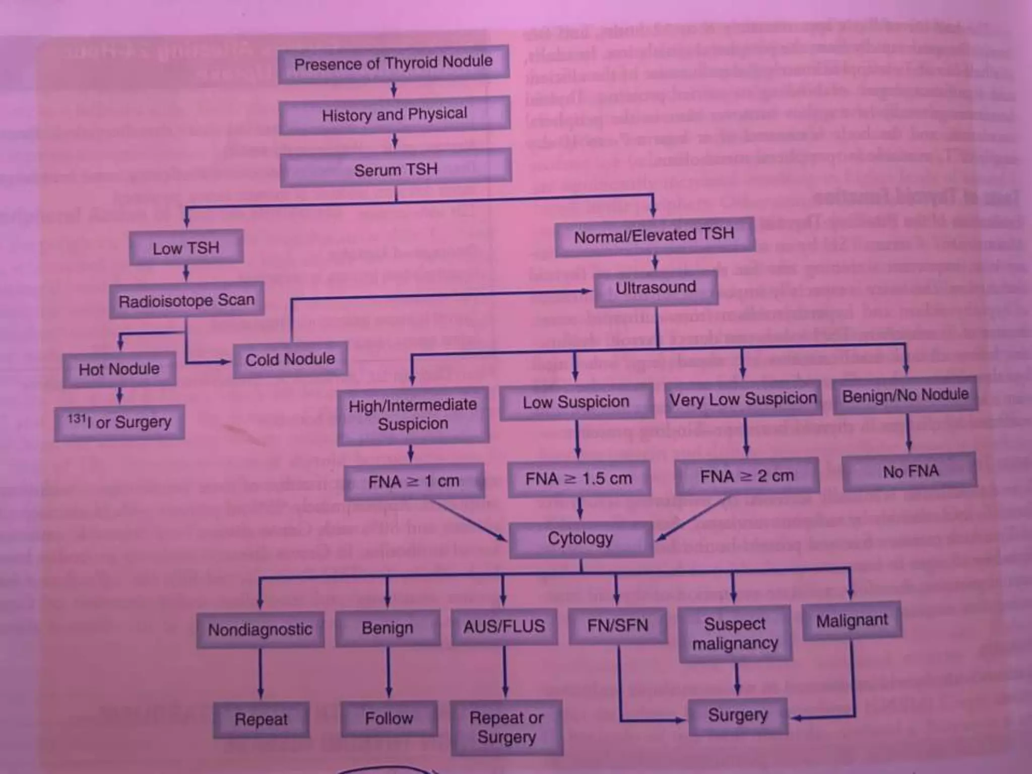 Solitary Thyroid Nodule Pptx