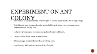 solitary vs social.pptx.....Microbiology botany | PPT
