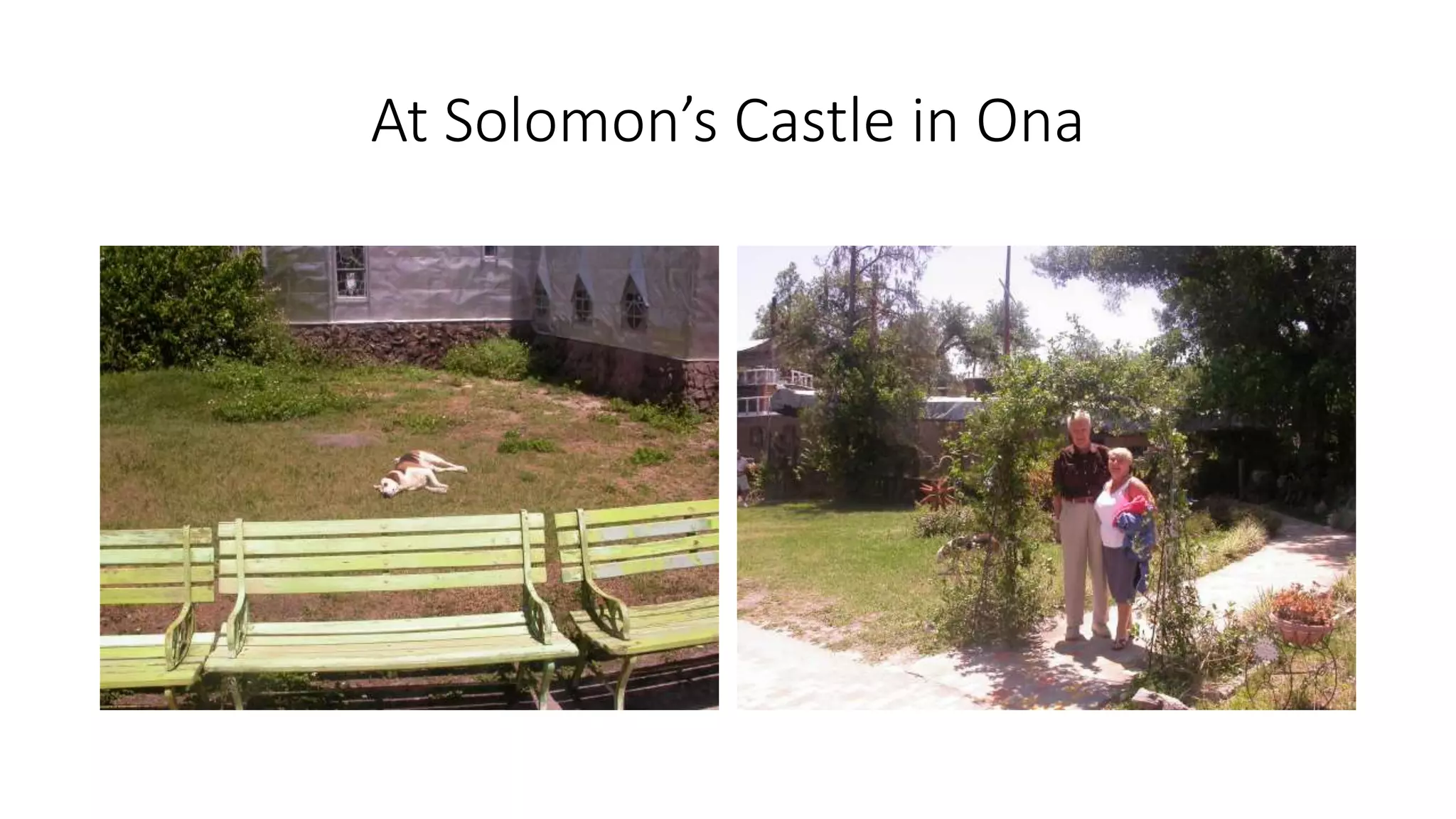 Solomon's castle | PPTX