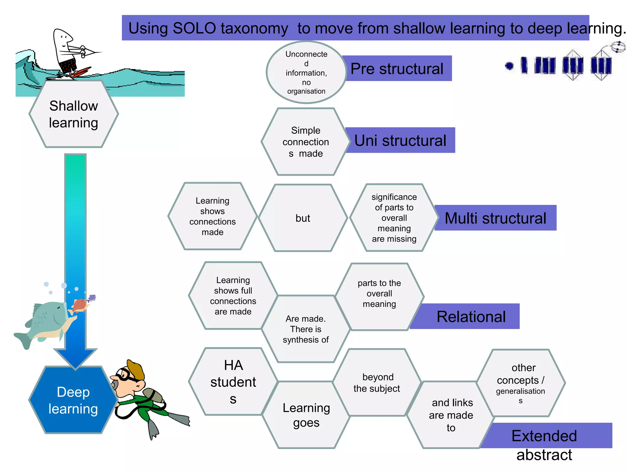 Solo taxonomy | PPT