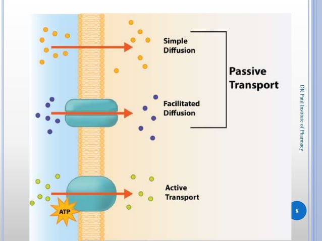 Solubility 4 diffusion principles in biological systems. Diffusion Flux ...