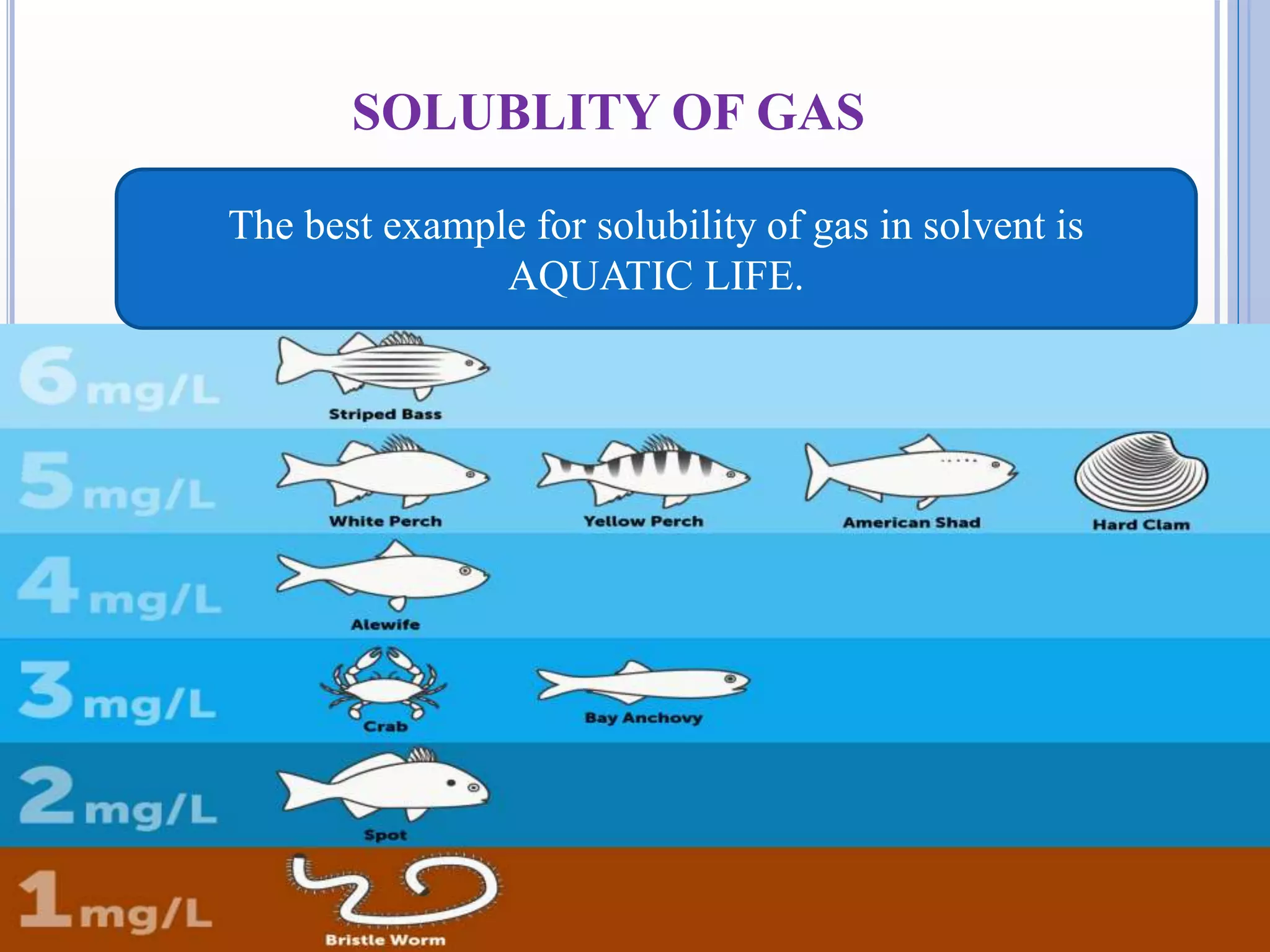 Solubility 5 Solubility of gas in liquid & Henry’s Law | PPT