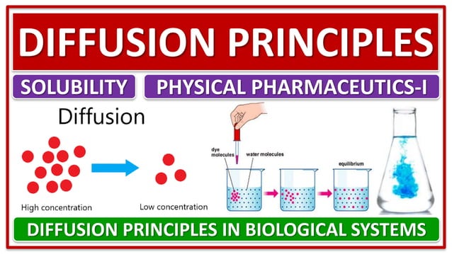 DIFFUSION PRINCIPLES IN BIOLOGICAL SYSTEMS | PPTX