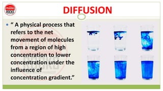 DIFFUSION PRINCIPLES IN BIOLOGICAL SYSTEMS | PPTX