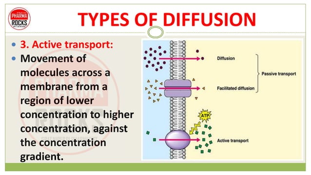 DIFFUSION PRINCIPLES IN BIOLOGICAL SYSTEMS | PPTX