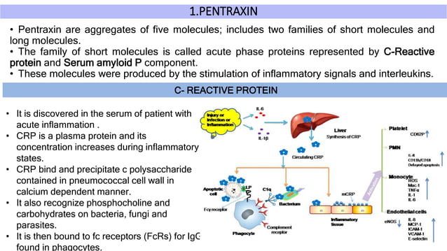 SOLUBLE PATTERN RECOGNITION RECEPTORS.pptx | Chemistry | Science