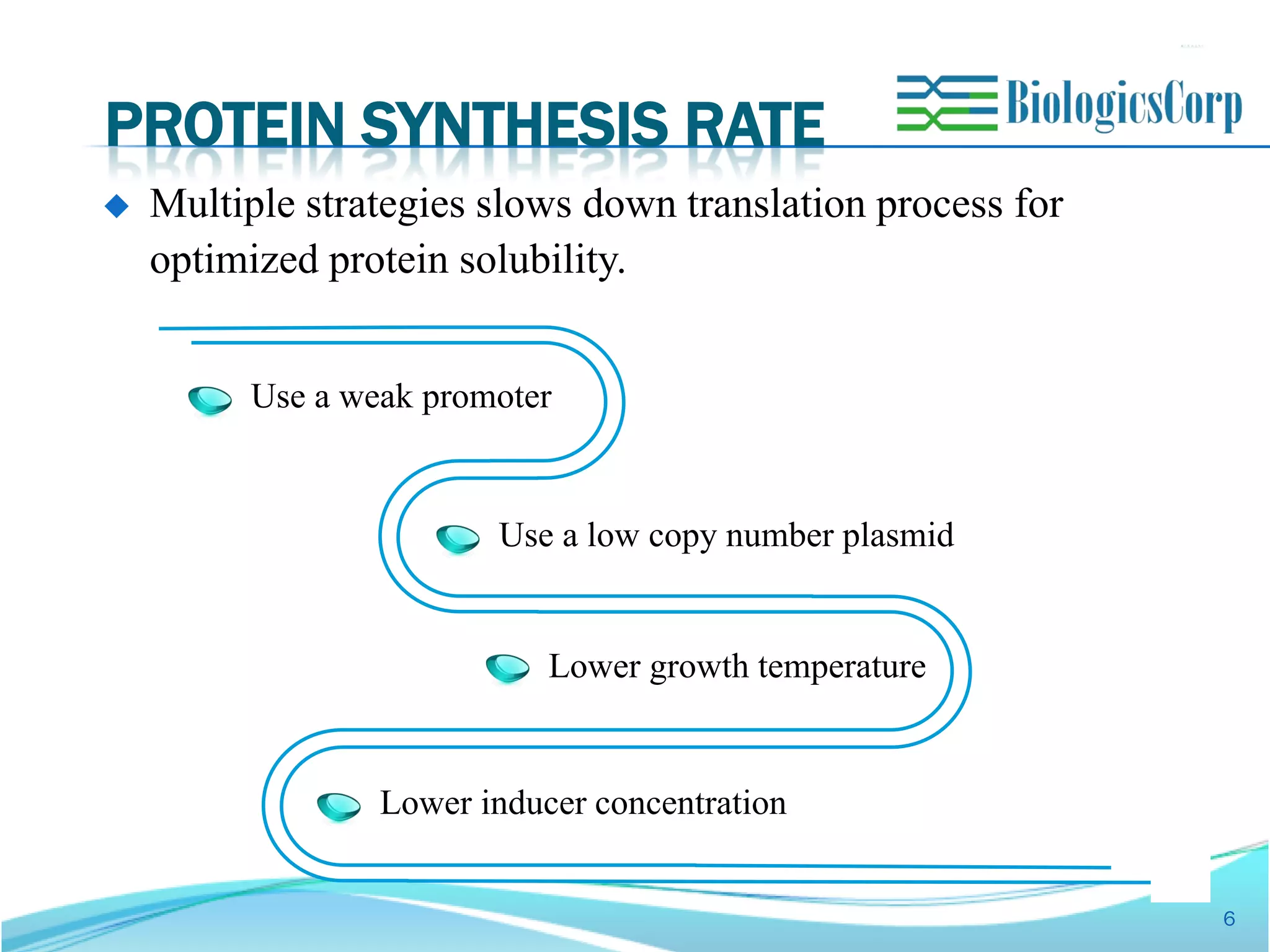 Soluble protein expression optimization | PDF