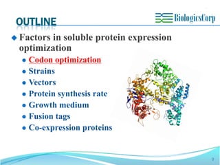 Soluble protein expression optimization | PDF