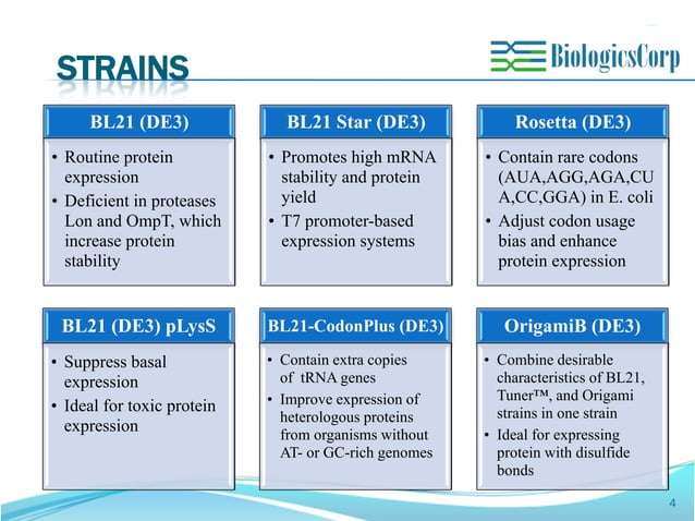 Soluble protein expression optimization | PPT