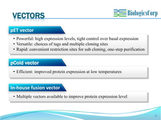 Soluble protein expression optimization | PDF