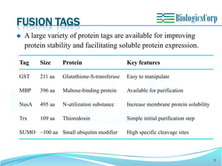 Soluble protein expression optimization | PDF