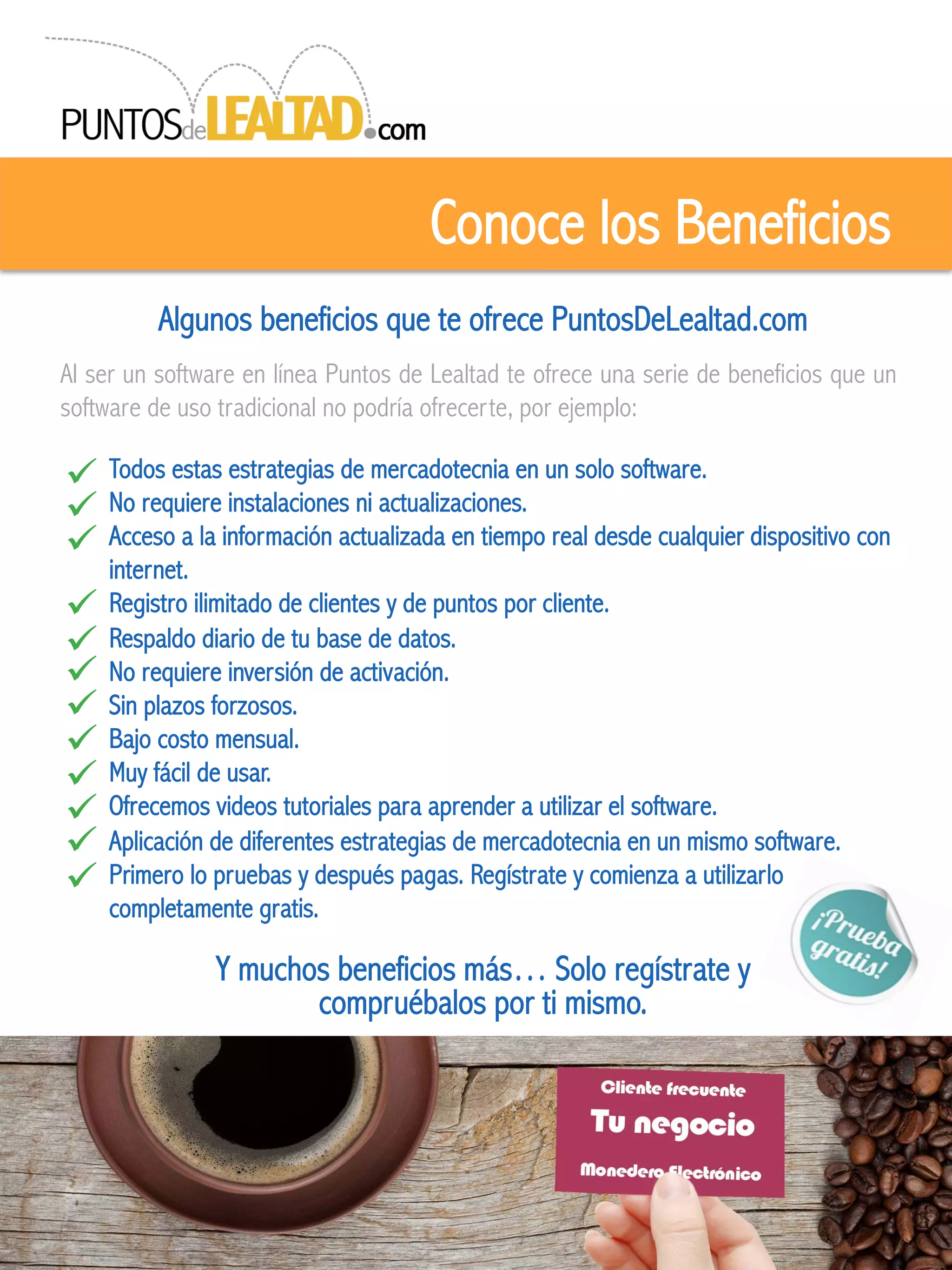 Programa de Lealtad con Monedero electrónico | PDF