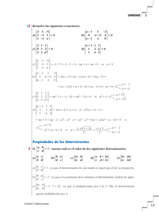 Solucionario tema 3 (determinantes) | PDF