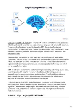 solulab.com-Create Custom LLMs for Enterprise Solutions.pdf