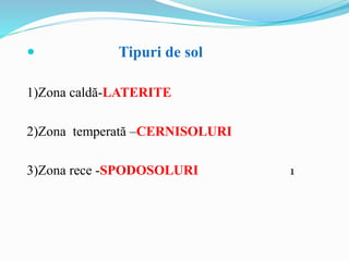 solul_ppt_clasa_a_5_a.pptx