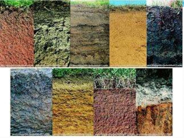 solul_ppt_clasa_a_5_a.pptx