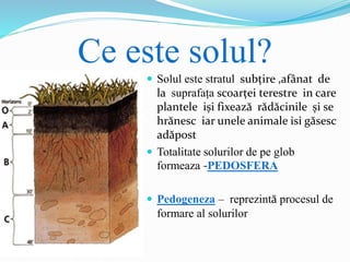 solul_ppt_clasa_a_5_a.pptx