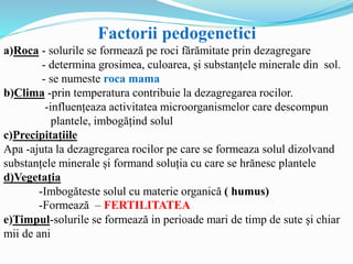 solul_ppt_clasa_a_5_a.pptx