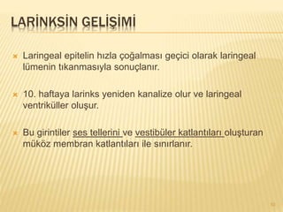 Solunum sistemi embriyolojisi | PPTX