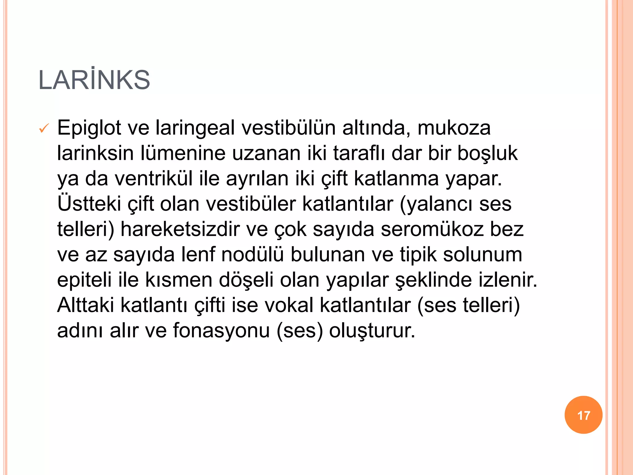Solunum sistemi histolojisi | PPTX