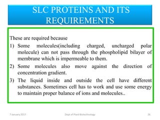 Solute carrier proteins | PPT