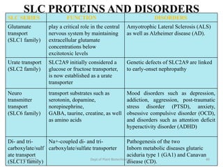 Solute carrier proteins | PPT