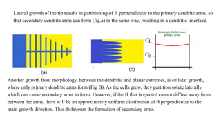 solute distribution in casting of steel.pptx