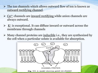 Solute transport | PPTX