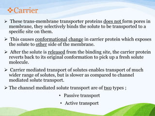 Solute transport | PPTX