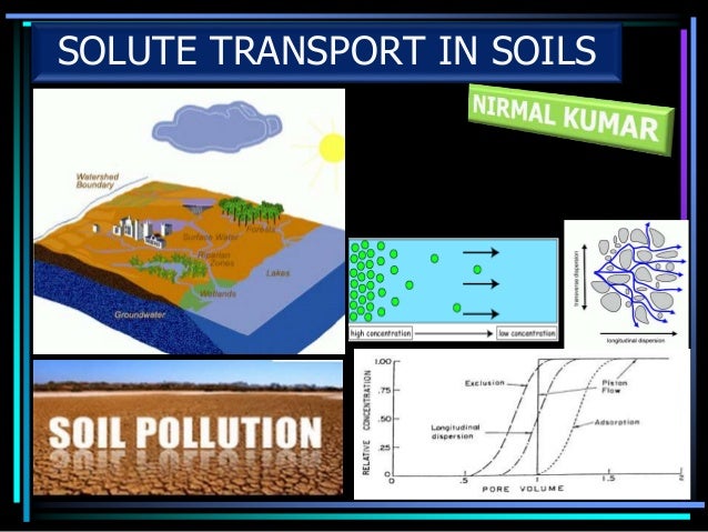 Solute transport in soils