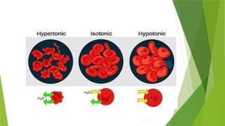 solution class. 12.pptx chemistry book 1 chapter 1 | PPTX