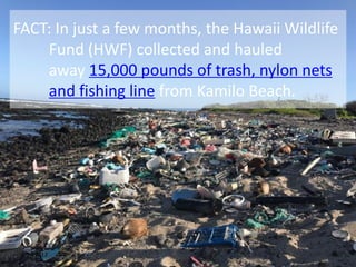 Solution for ocean garbage in Hawaii | PPT