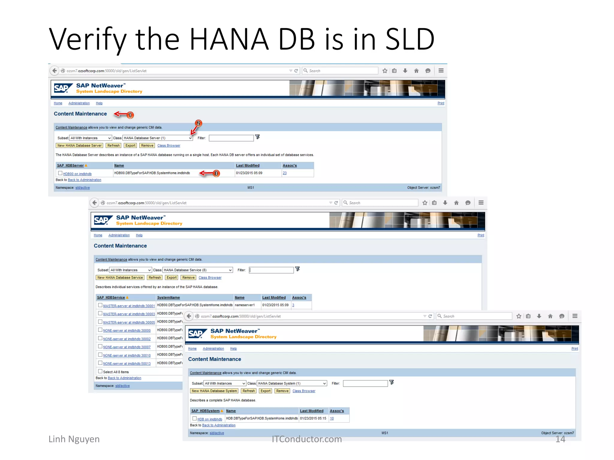 SAP Solution Manager - Netweaver on HANA Monitoring Setup Part 1 of 3 (Preparation) | PPTX