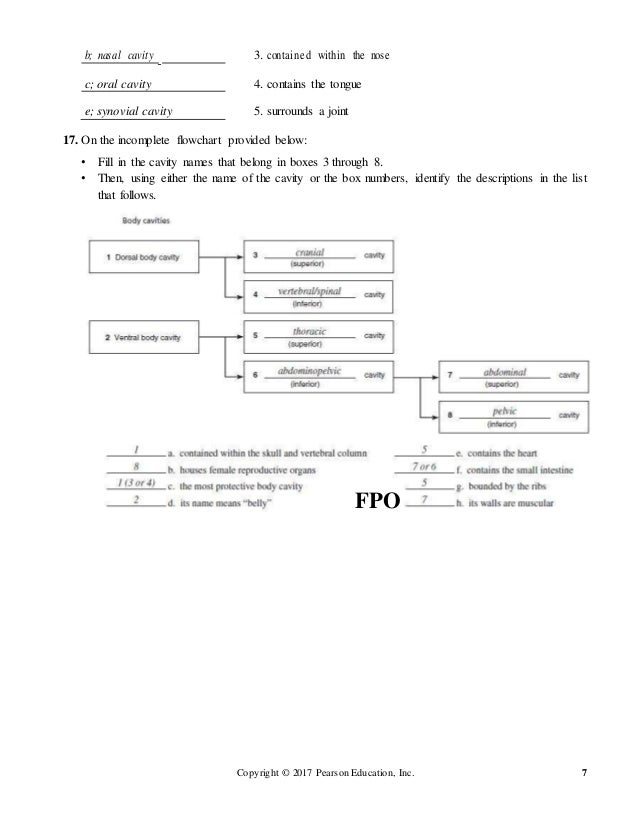 The Language Of Anatomy Review Sheet Exercise 1 Answer Key Anatomy Book The Language Of Anatomy Review Sheet Exercise 1 Answer Key Anatomy Book