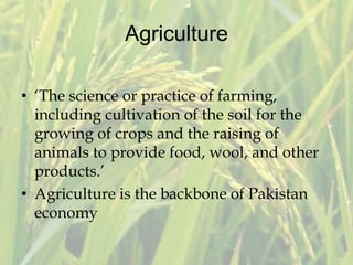 agriculture sector and its problems | PPTX