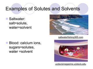 Power point for Solutions.ppt