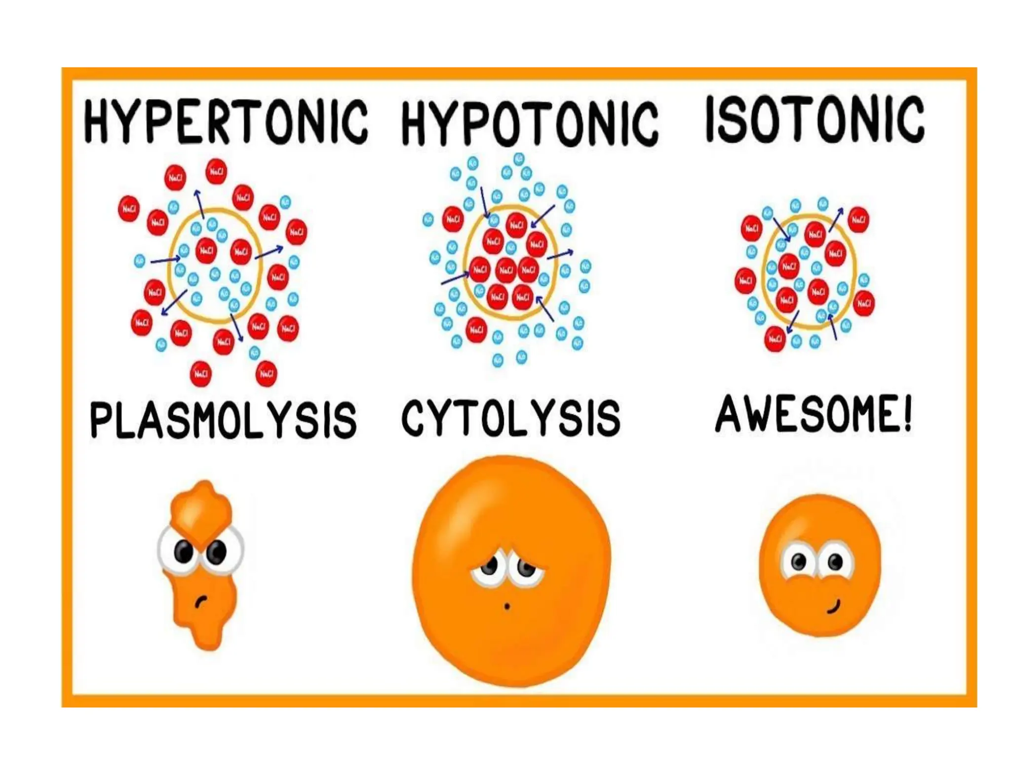 Solutions.pptx different types of solutions | PPT