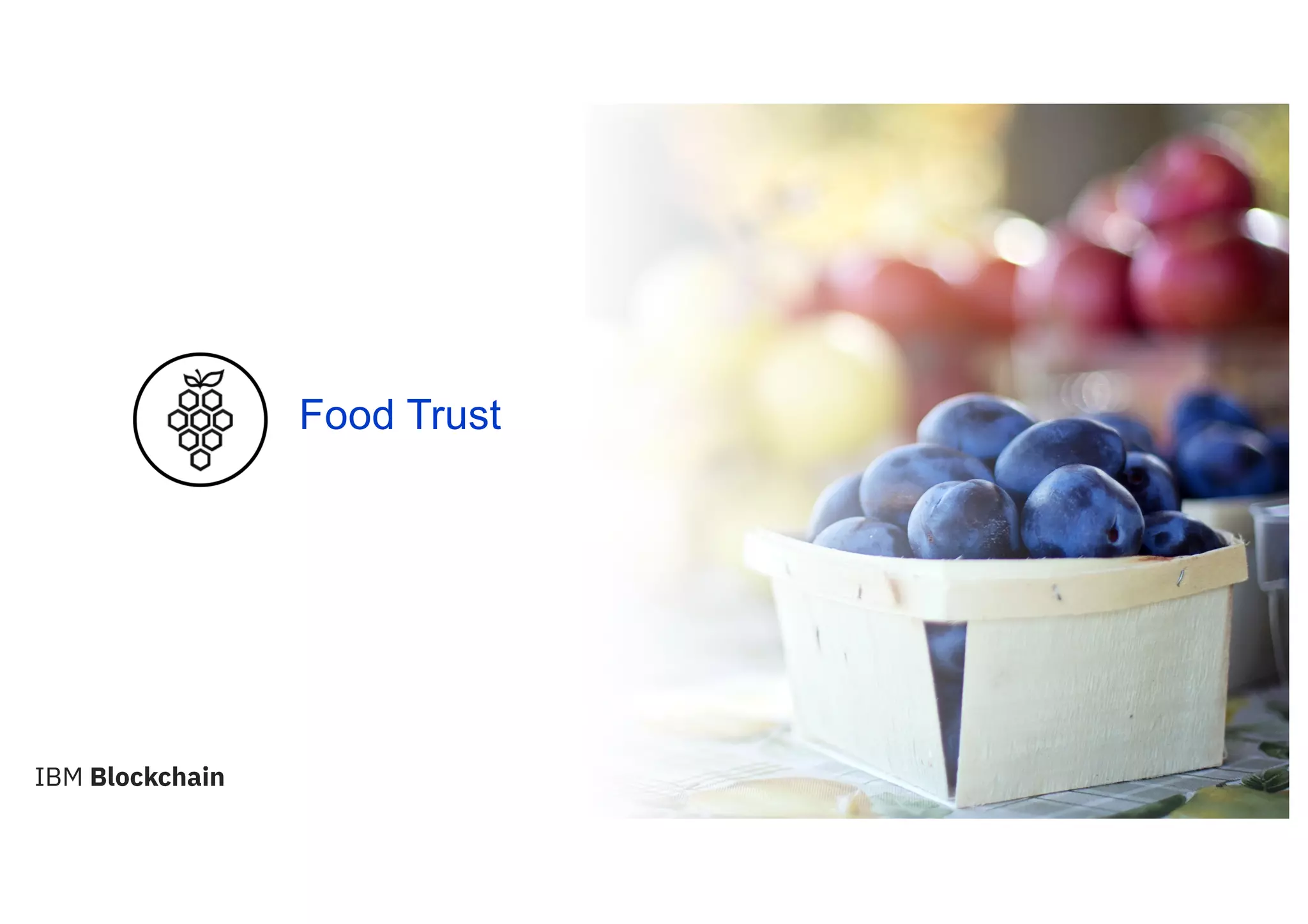 Ibm Blockchain Solutions Explained V0 6 Pdf Agriculture Industries