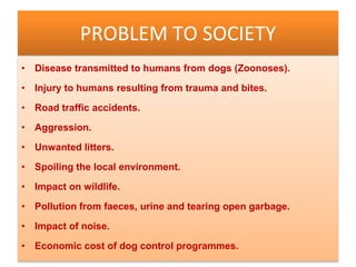 Solutions for community dog nuisance | PPT
