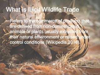Solutions to illegal wildlife trade | PPTX