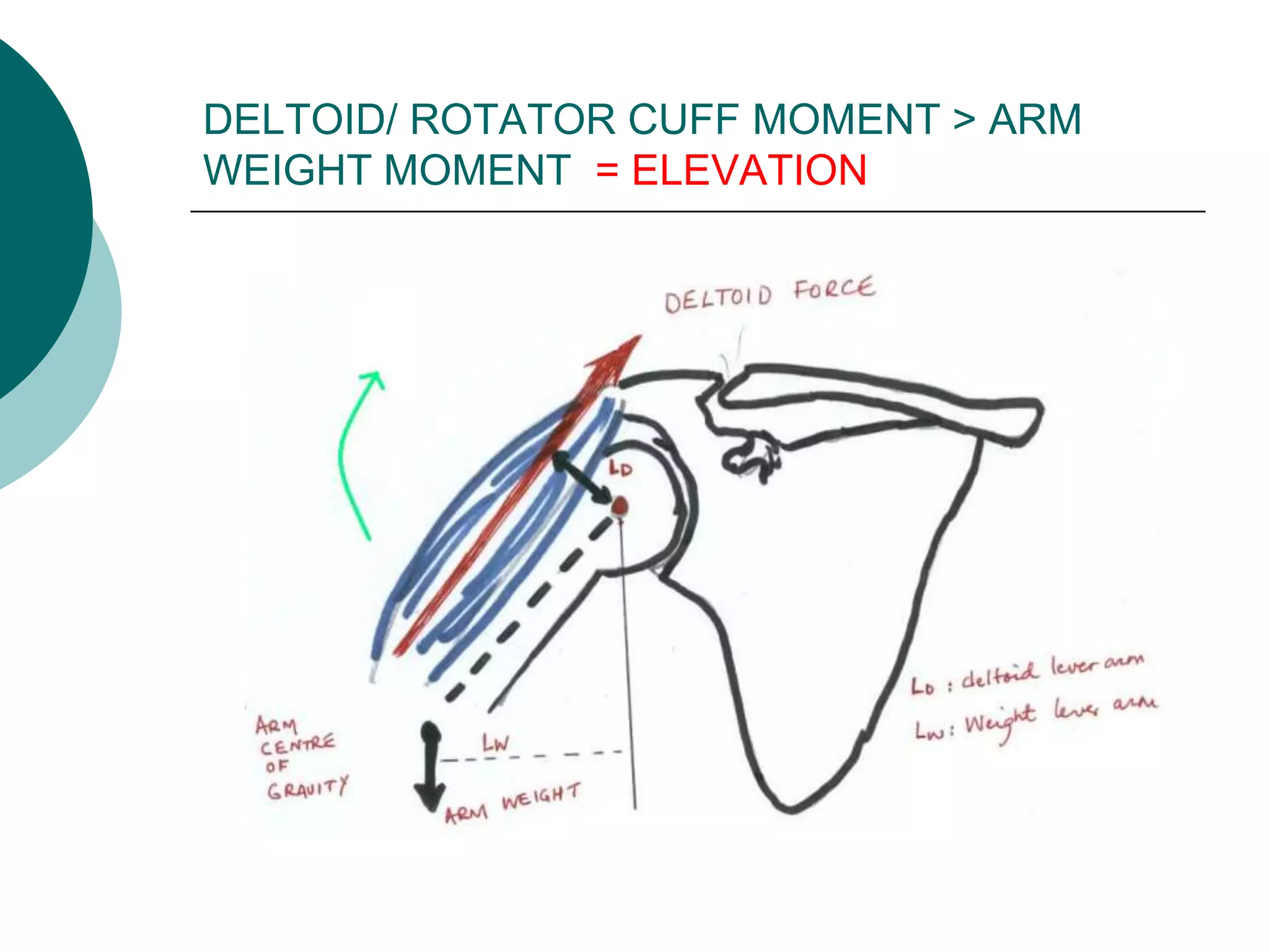 Solution to Rotator Cuff Deficient Shoulder.ppt