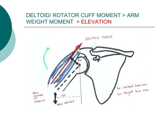 Solution to Rotator Cuff Deficient Shoulder.ppt