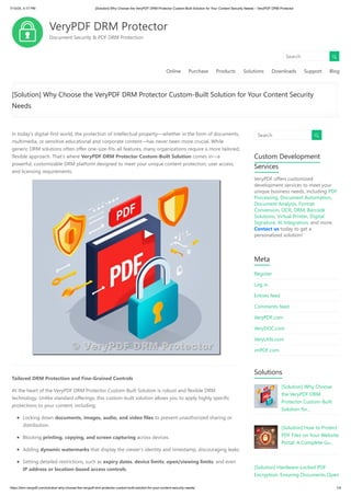[Solution] Why Choose the VeryPDF DRM Protector Custom-Built Solution ...