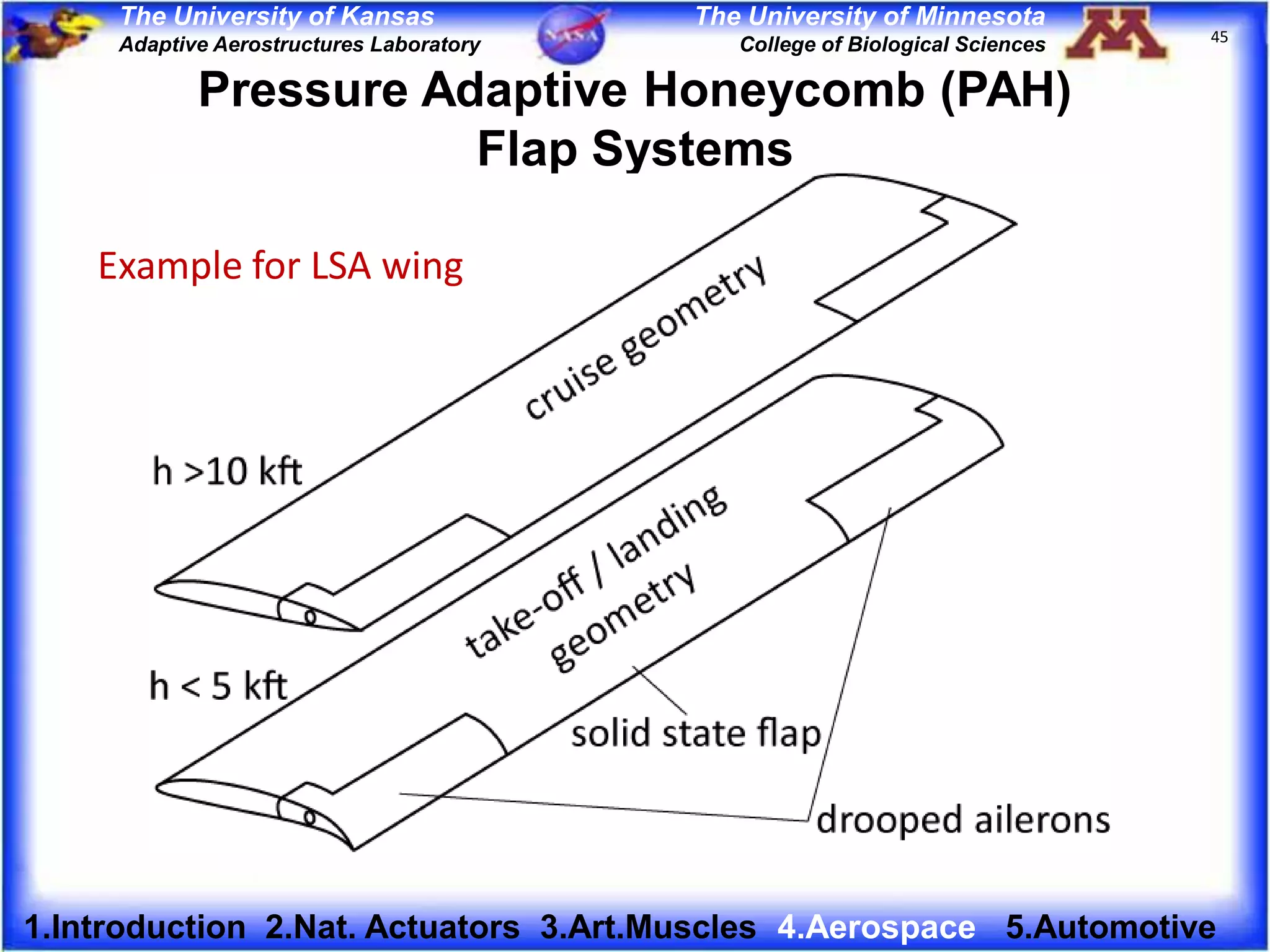 Solution wings for Aerospace Applications. | PDF