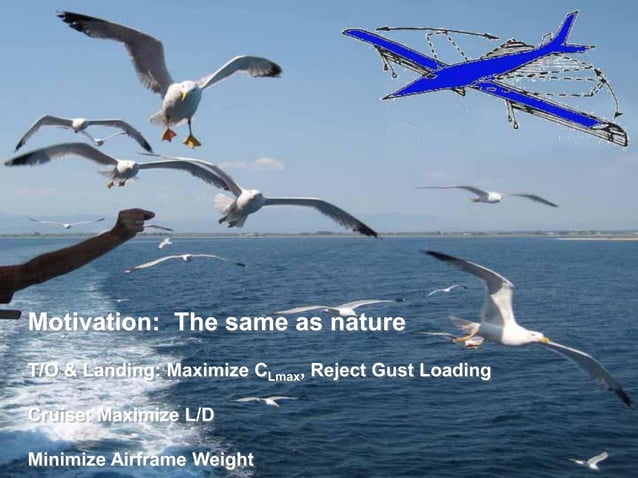 Solution wings for Aerospace Applications. | PPT